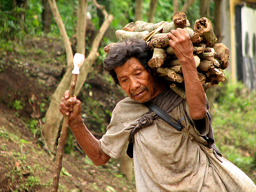 quiero ser millonario: trabajo duro tiene su recompensa