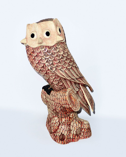 Visual Loft: Vultus trifons