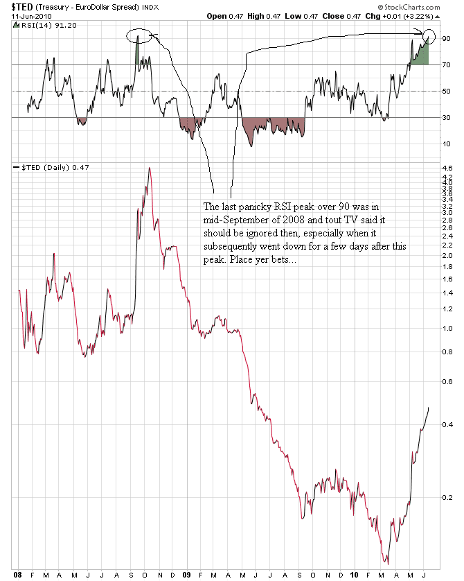 The Flight to Safety – The Daily Gold