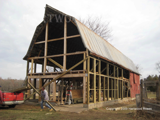Hartwood Roses: Our Barn Restoration