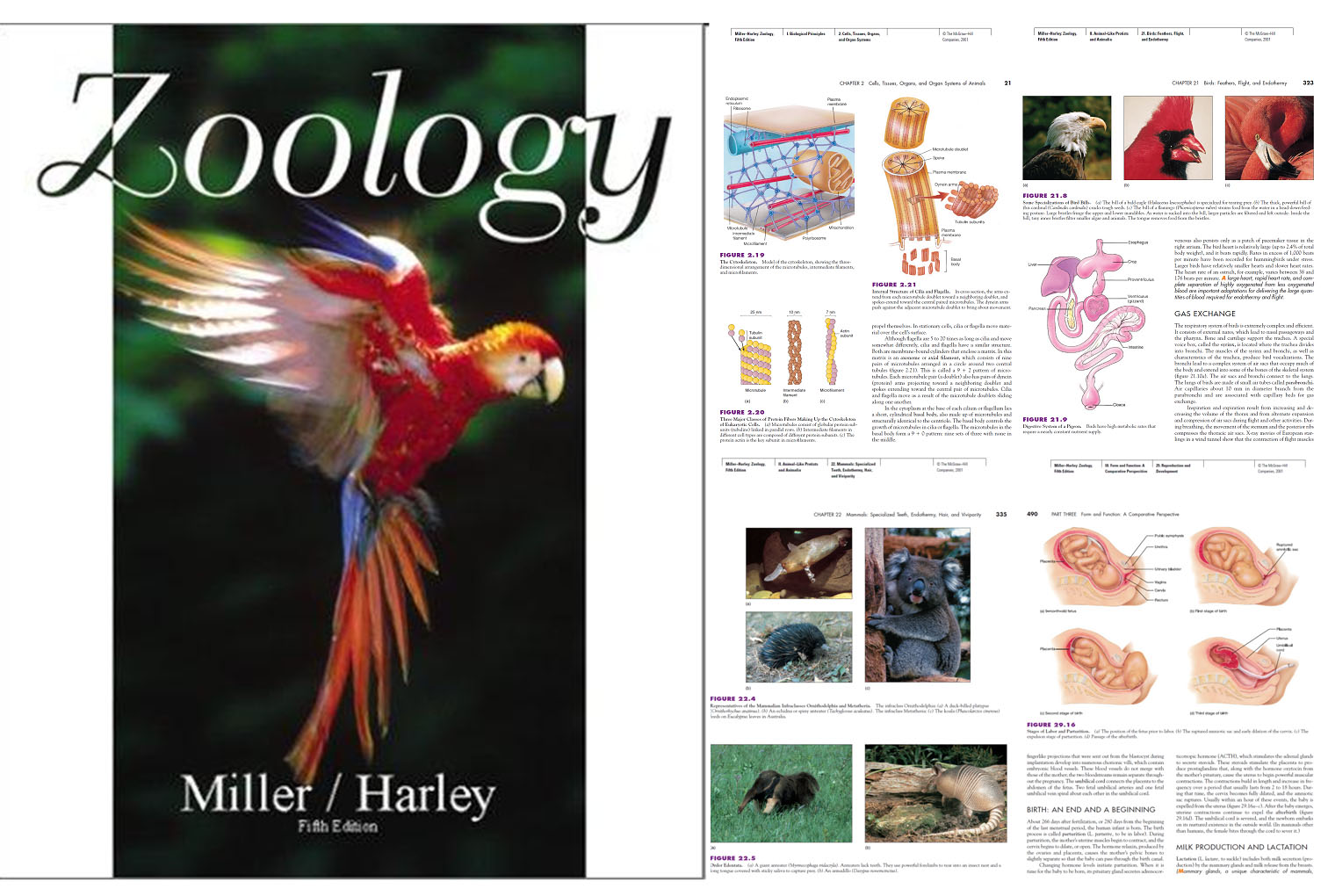 Ganga Libros: General Zoology Laboratory Manual to accompany Zoology
