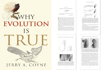 Ganga Libros: Why Evolution Is True
