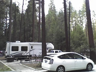 Suanne Online: A Prius RV