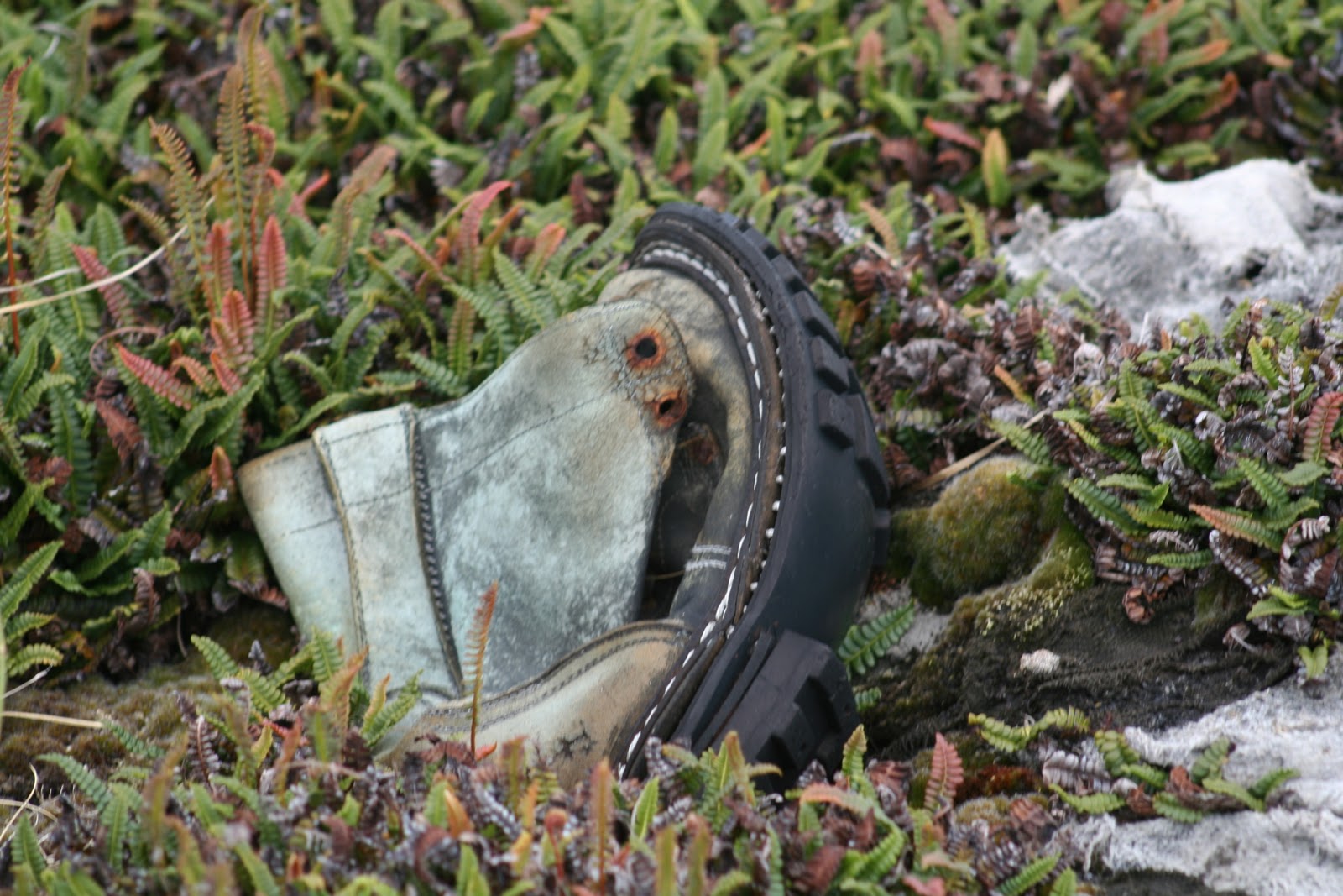 Big Falkland's Adventure: Mount Tumbledown