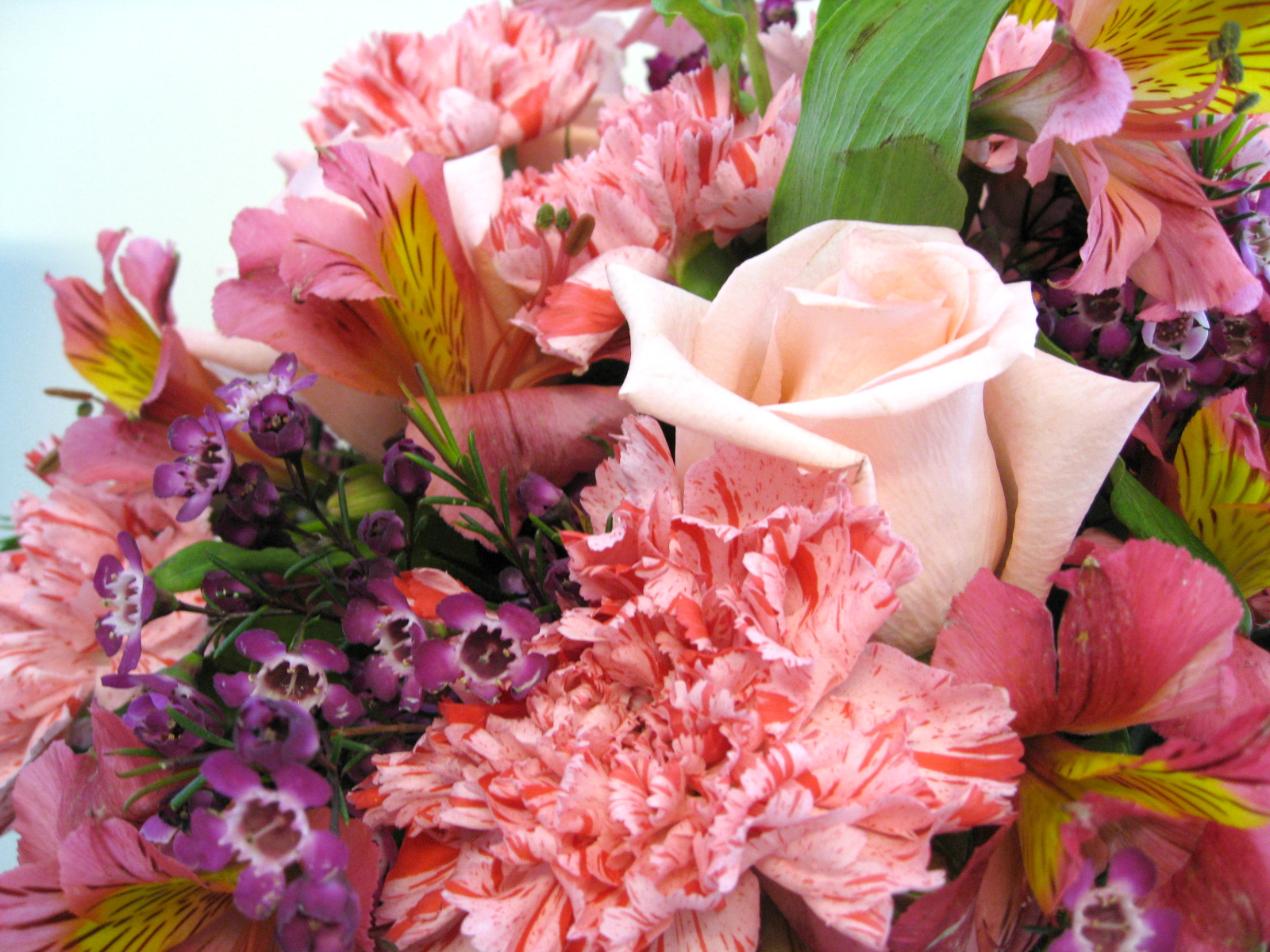 Achi Designs: Pink Arrangement