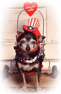 Frankie, the Walk 'N Roll Dog: Sharing Wheely Willy's Extraordinary Life