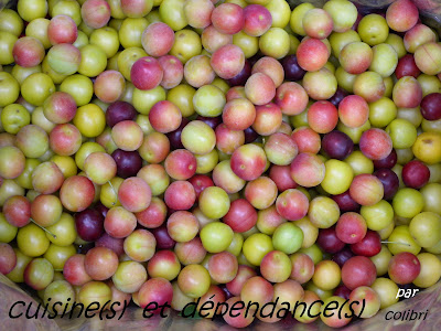 belles, sauvages et plus: prunes... sauvages