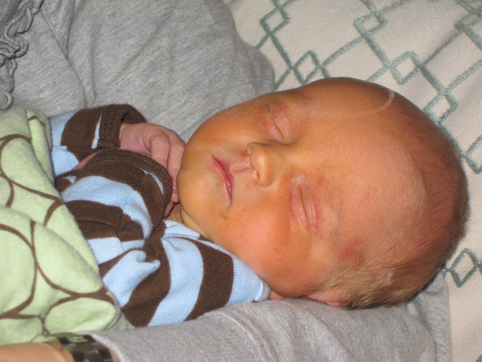 the happenings of mike, sarah, greta, calla & samuel johnson