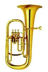 INSTRUMENTOS MELODICOS