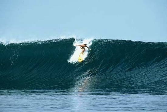 Surfers and Nembrala Beach | APen 5, Indonesian Tourist Information