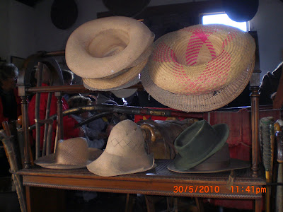 Cómo se ve: Santa Celina