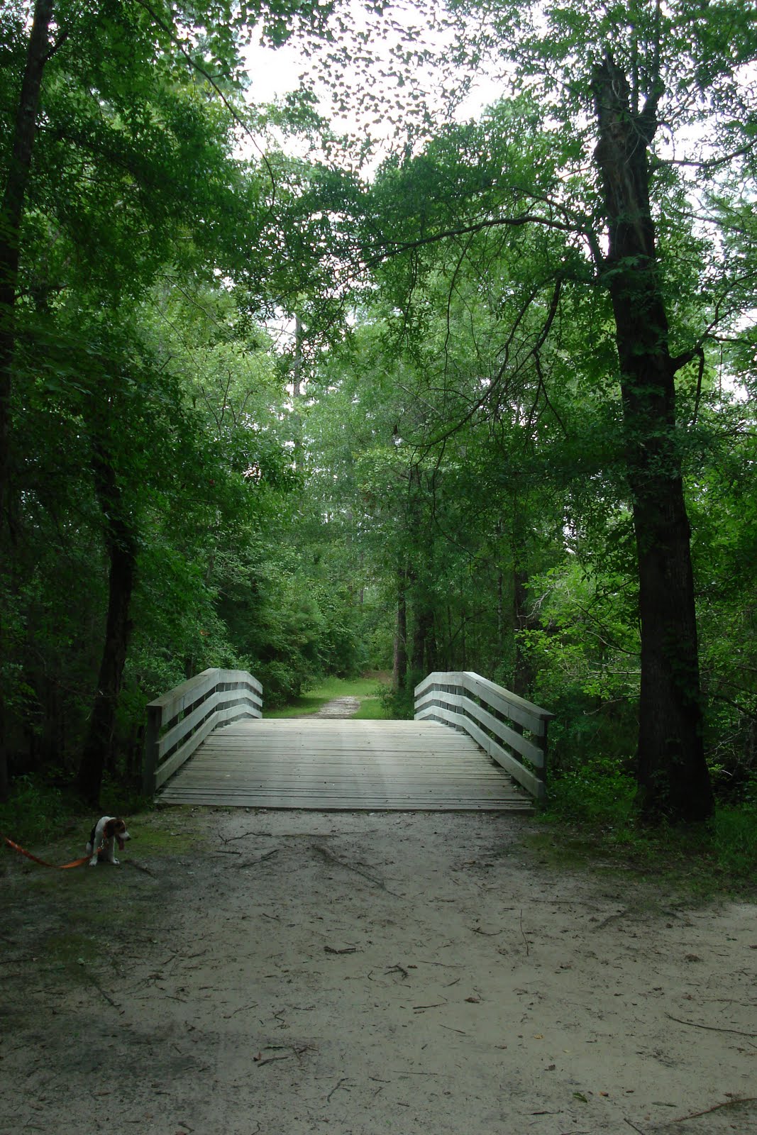 Swamp Fox Brigade: Battle of Moore's Creek Bridge site visit