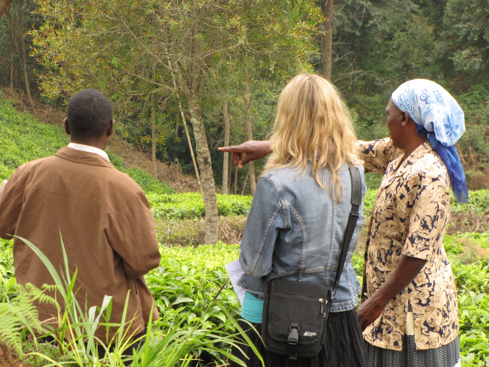 FiveKennys: GOH Kangema