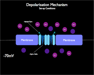 Philosophical Disquisitions: Thinking about Mechanisms (Part 2): The ...
