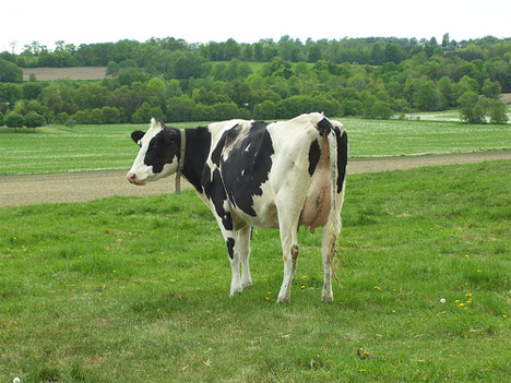 Philosophical Disquisitions: February 2011