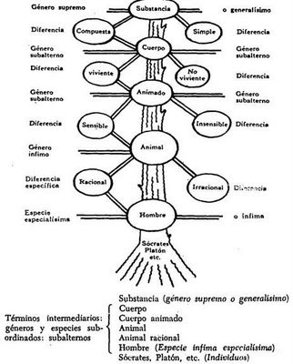 AULA FILOSOFICA: El árbol de Porfirio (Naturales)