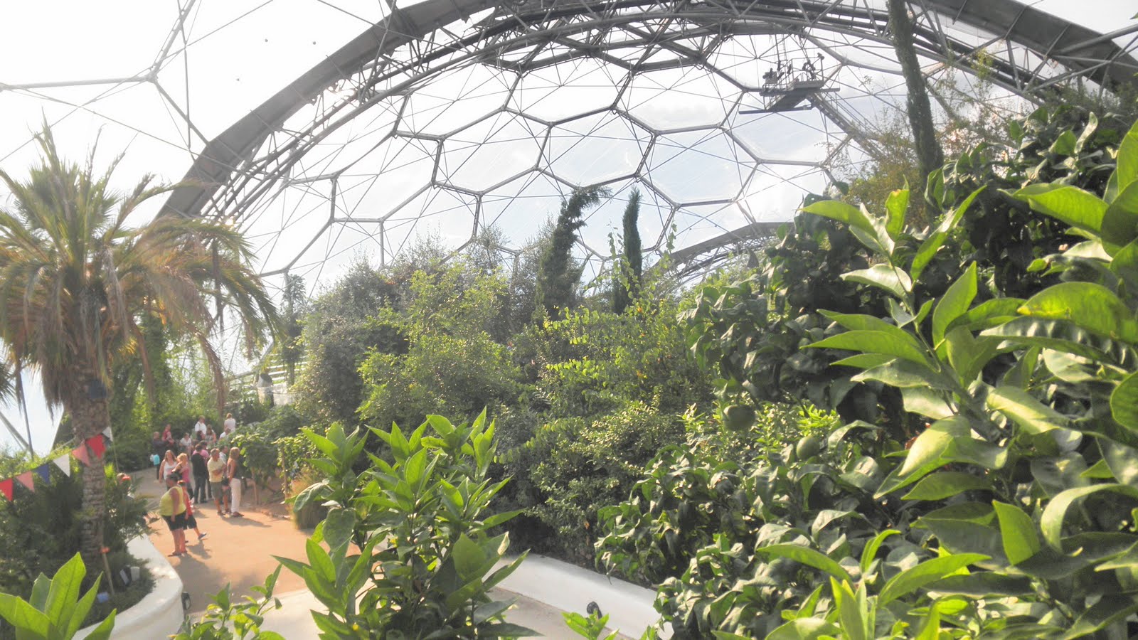 Glad Nomad: A Visit to the World's Largest Bio-domes