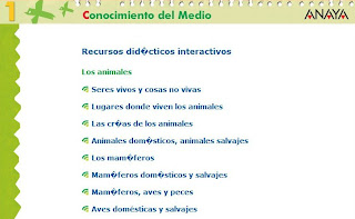 TIC TIRIRITIC CAÑON: abril 2010