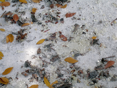 Nicebird: Adventures in Greece and Italy