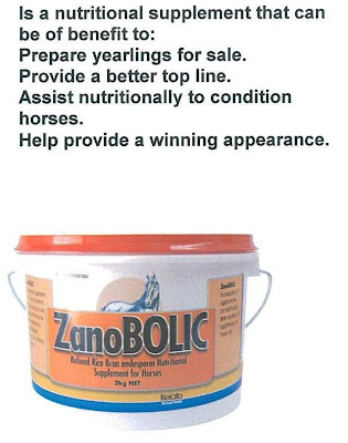 MANO Equestrian Services: ZanoBOLIC