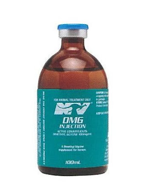 Dmg Injection For Horses Free - georgiacolor