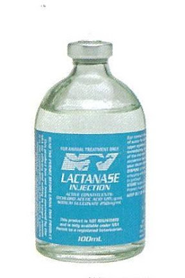 MANO Equestrian Services: LACTANASE