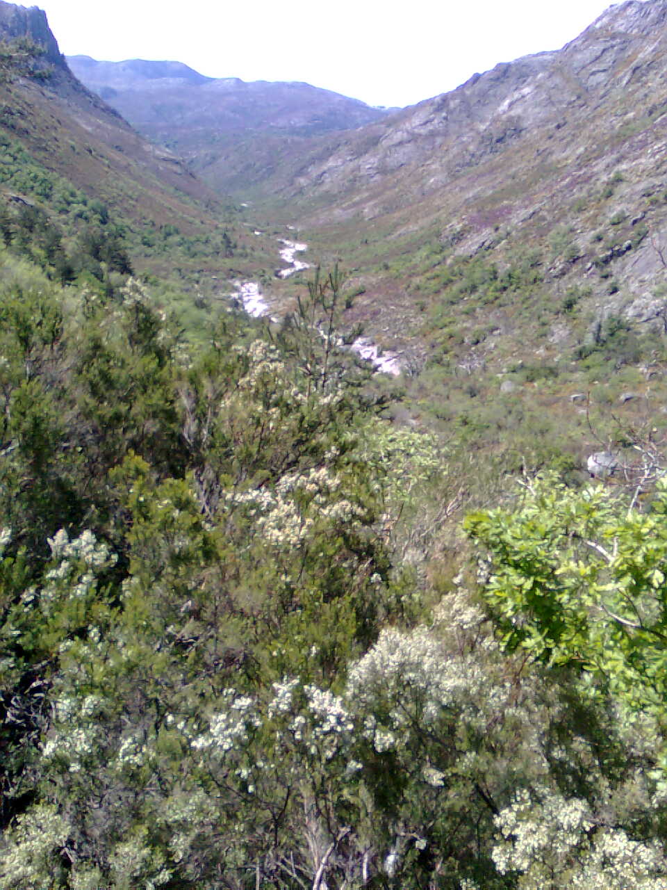 TRUTAS E SERRAS: Vale do Homem Visto de muito perto da nascente