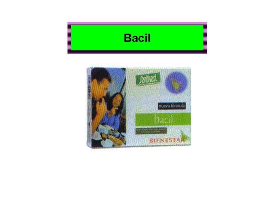 Emporio Virtual 2.0: Bacil