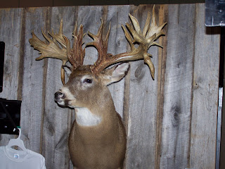 Tim Tipton Outdoors: The Beatty Buck