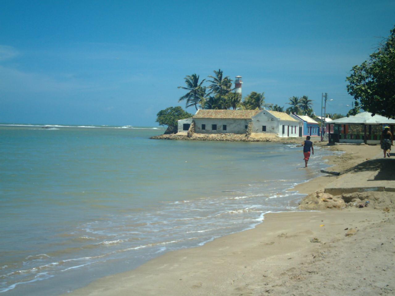 Fundacion Cultural Metropolitana: ADÍCORA Y MORROCOY REPLETAS EN LA ...