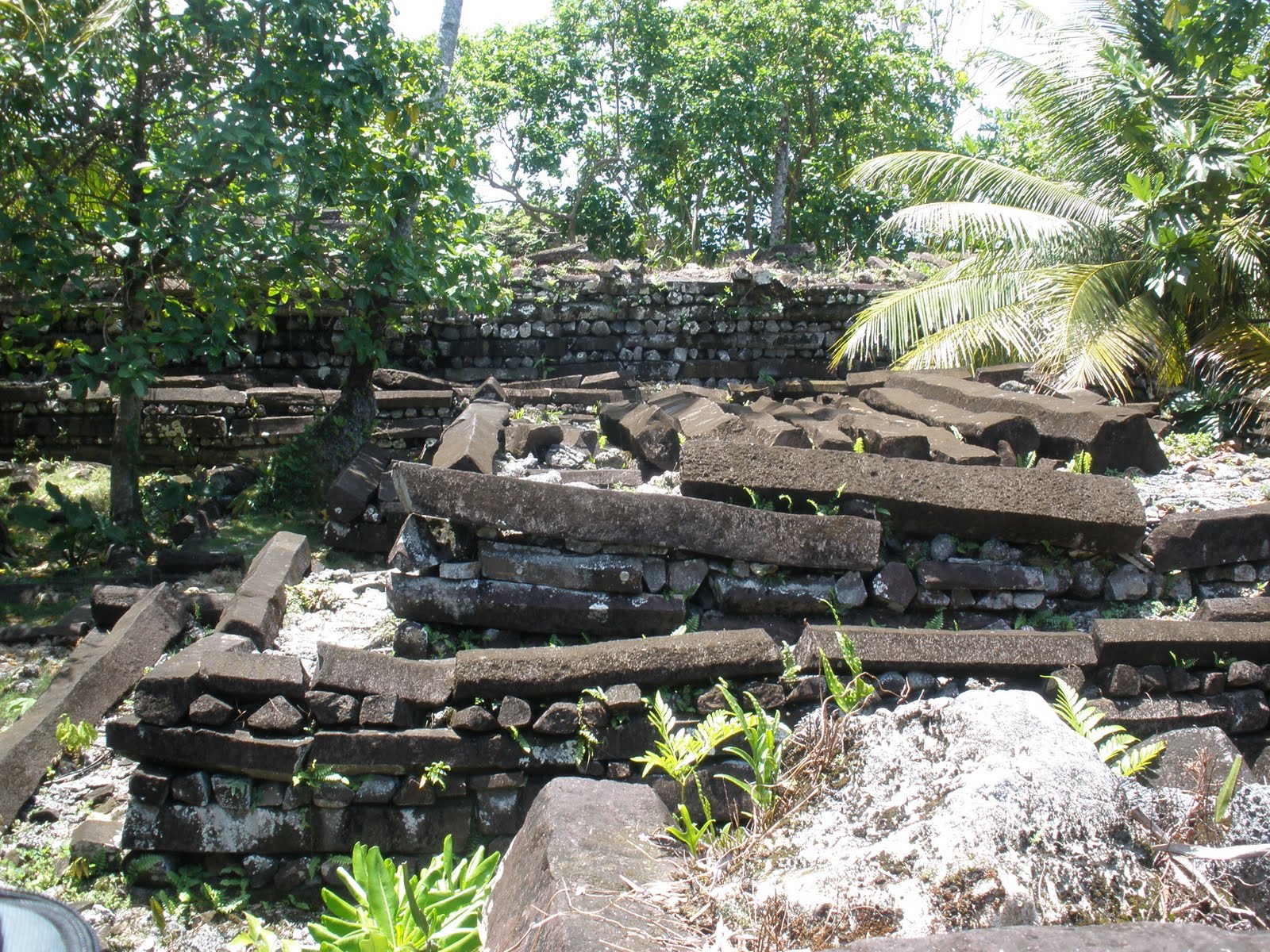 Kevin South's Mission: Nan Madol Ruins, Pohnpei