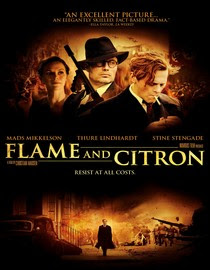 365 days...300 movies: Flame and Citron - 2008