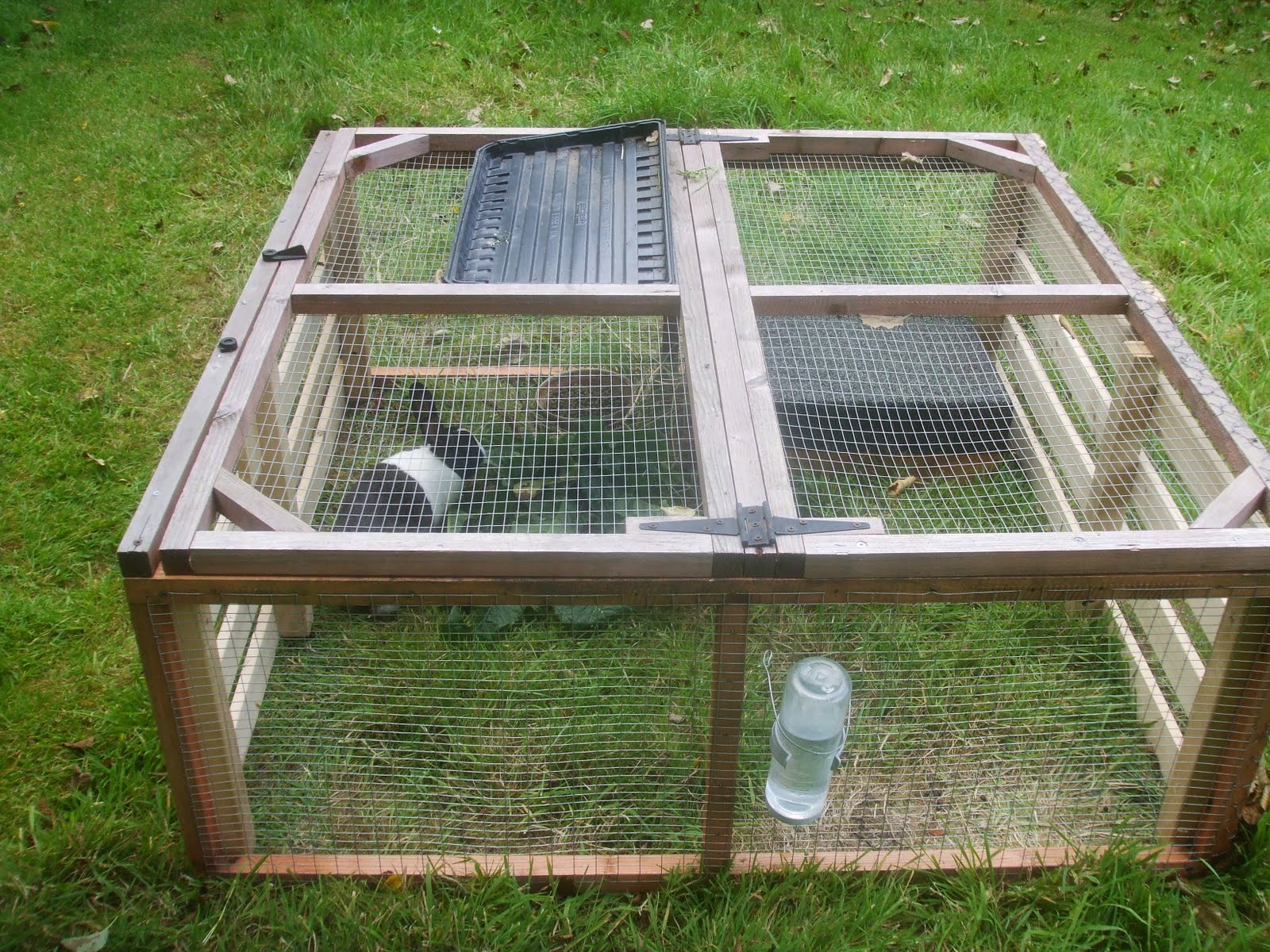 August 2010 | Small Scale World