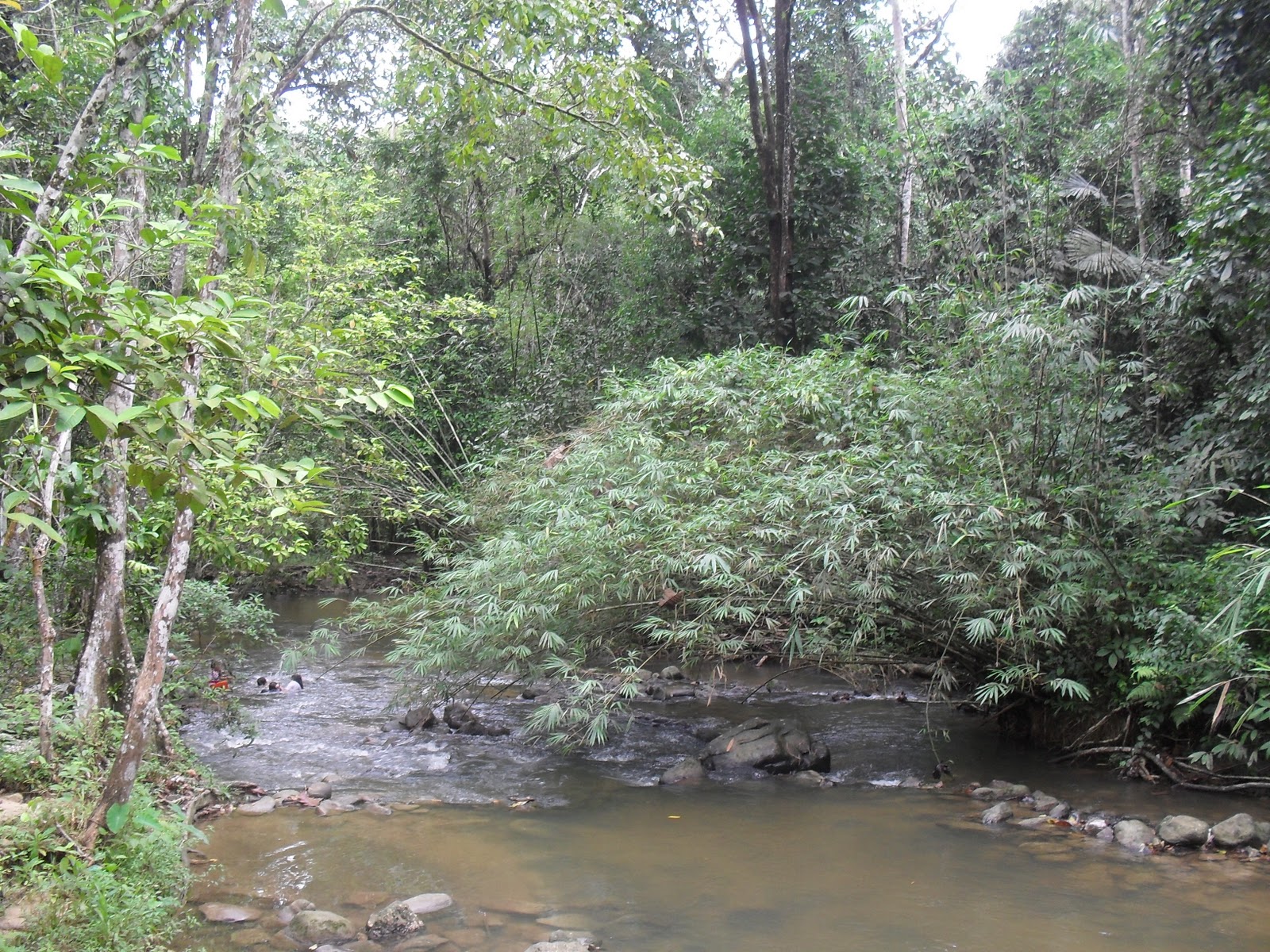 Ikut Kepala Aku - Follow My Head: Hutan Lipur Ulu Paip-Destinasi ...