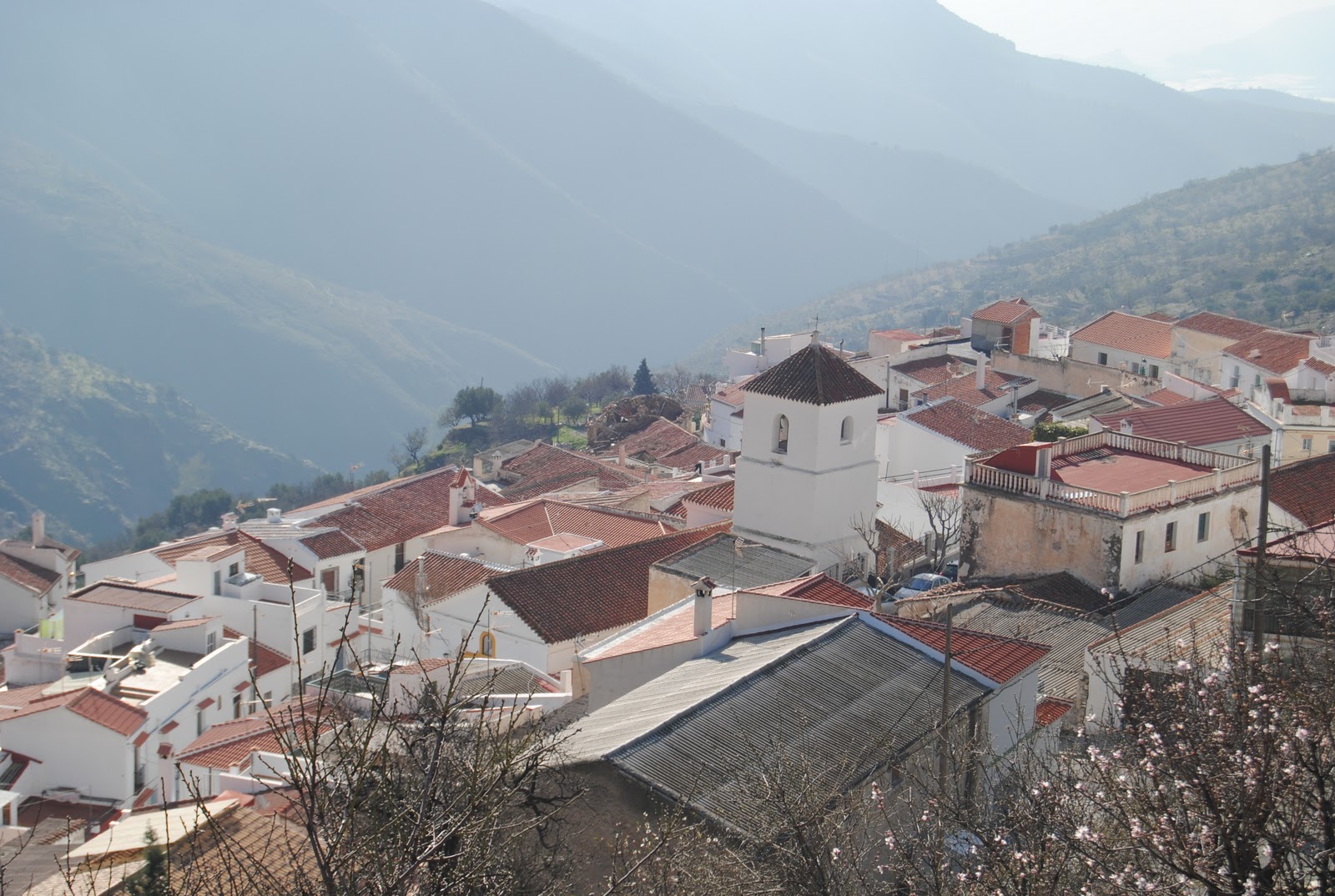 Supervivencia ef: Rubite