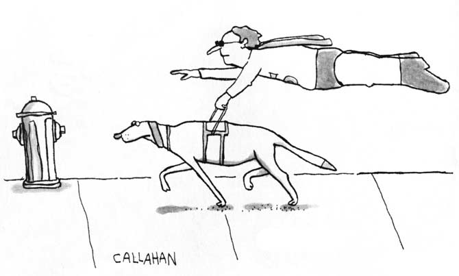 Scribble Junkies: John Callahan