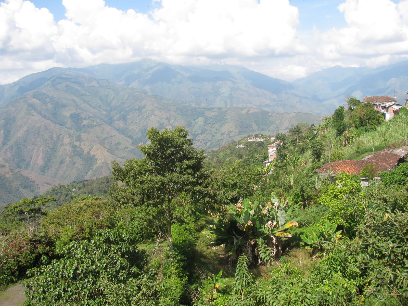CORPORACIÓN COLONIA DE ITUANGO EN MEDELLÍN: UN RECORRIDO POR LAS CALLES ...