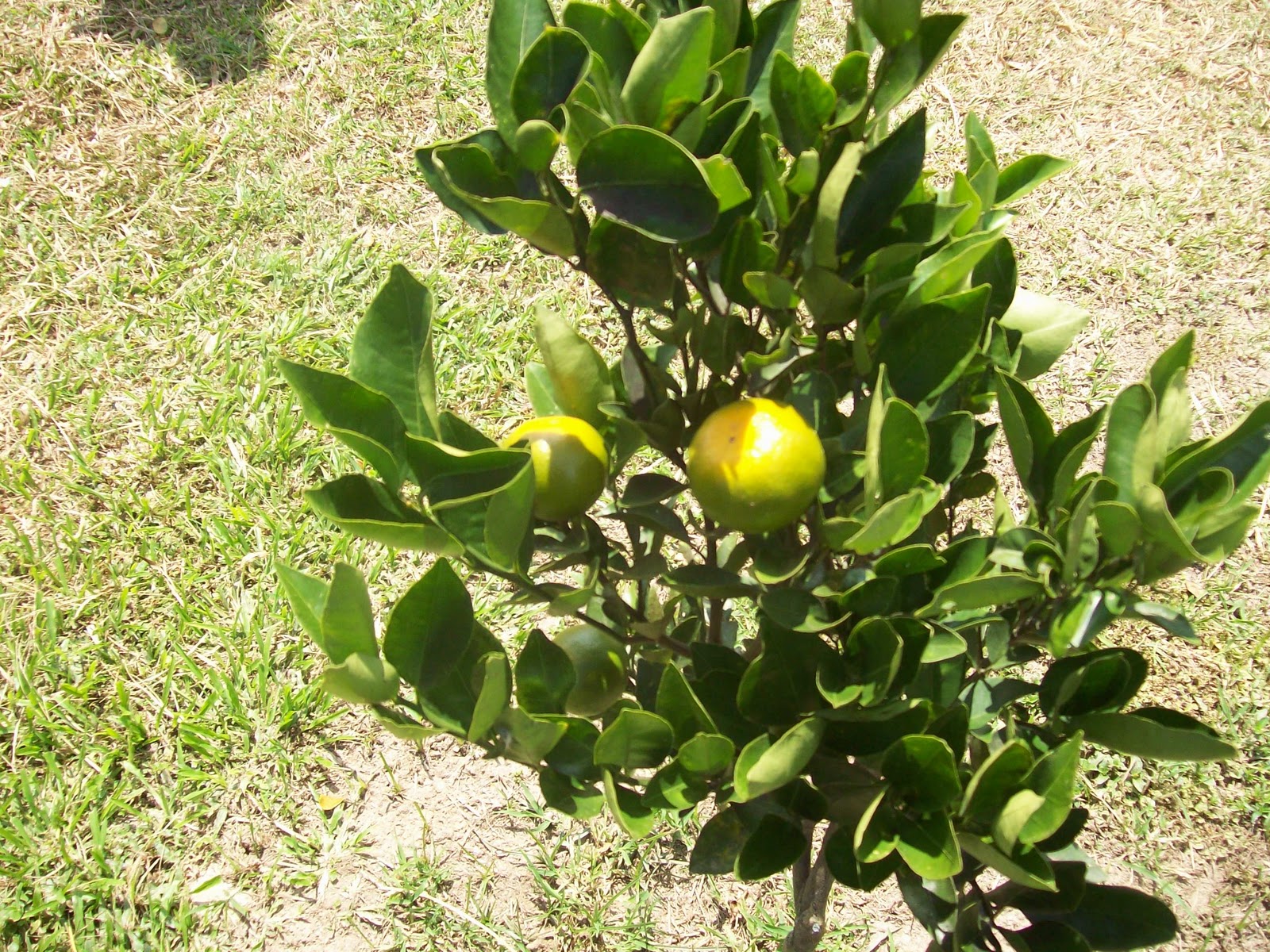 Escuela Paramaconi en los Valles Altos de Carabobo: Taller V Exposición ...