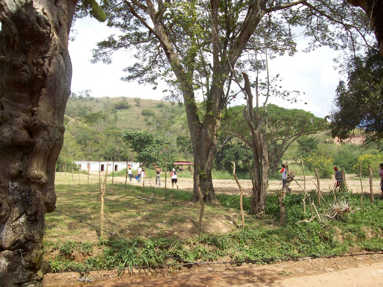 Escuela Paramaconi en los Valles Altos de Carabobo: Taller V Exposición ...