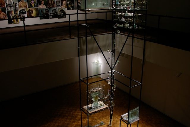 Visual Culture and Evolution: An Online Discussion: 4/11: Visual ...