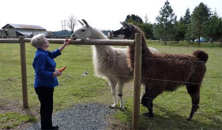 The Sunny Raw Kitchen: SRK Tour Adventures: Washington Part I