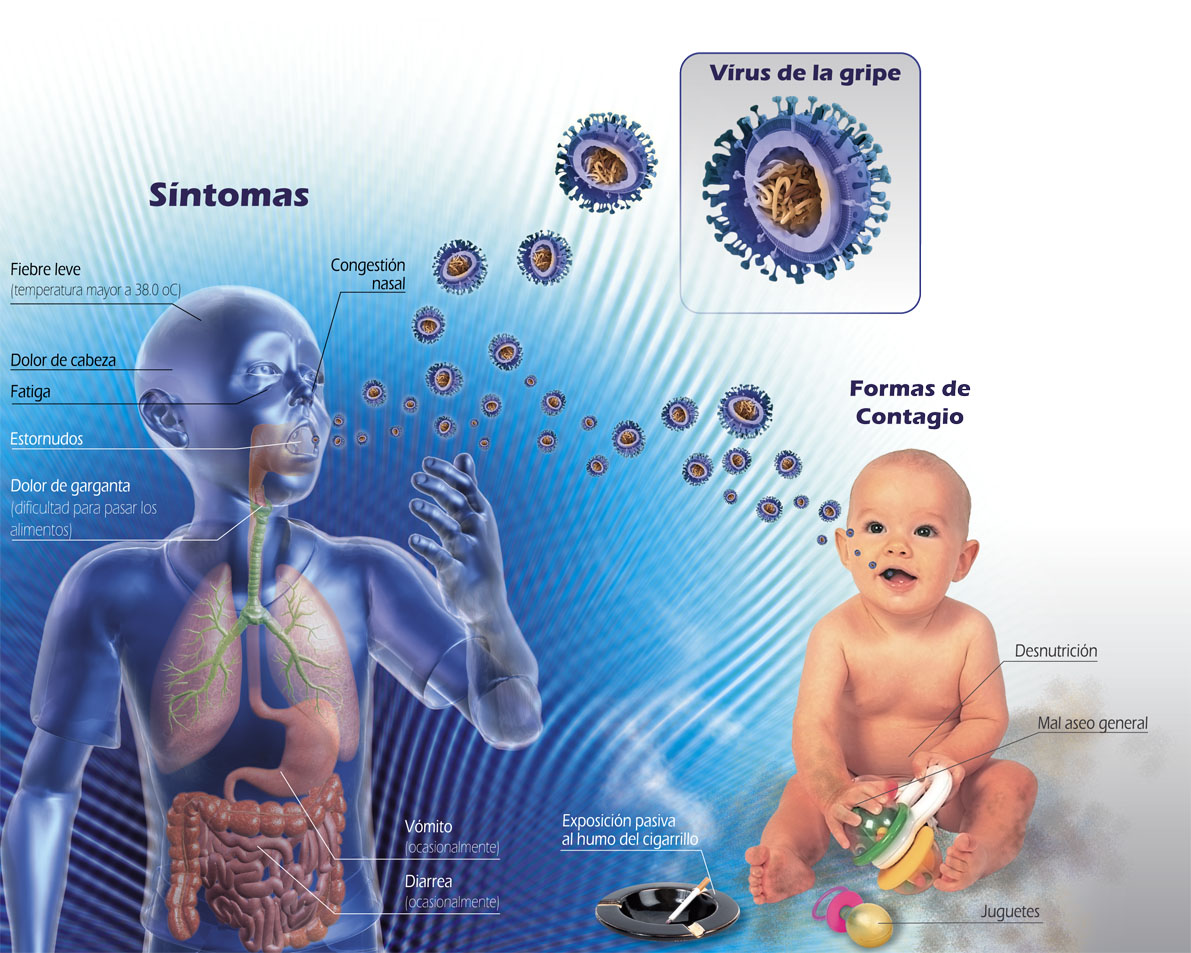 6.2 Gripe | Doctor, ¿qué puedo hacer?