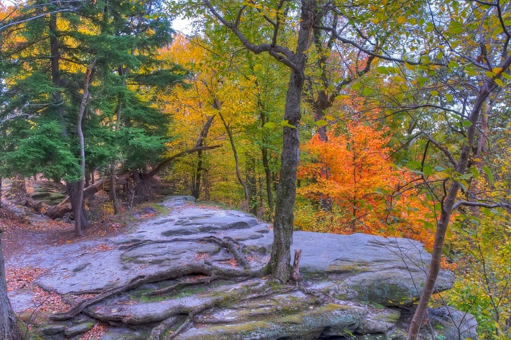 Jim's Photography: Cuyahoga Valley National Park Overlook (HDR)