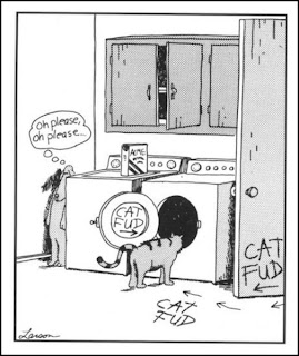 50 Funny Cartoons For Enjoyment | Weird Things, Weird Pictures, Photo Blog