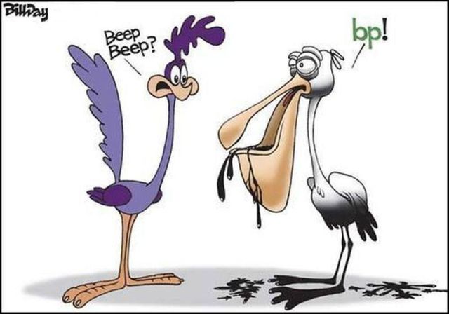 50 Funny Cartoons For Enjoyment | Weird Things, Weird Pictures, Photo Blog