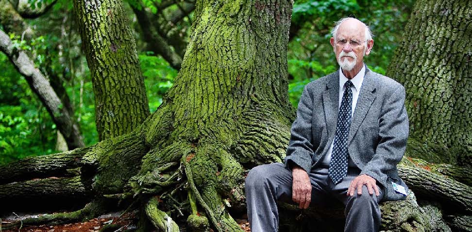 The Secret Forest of Charles Hughes ~ Masqueman Photography and Design ...