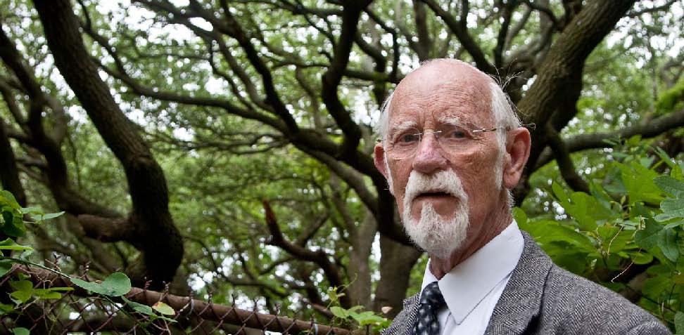 The Secret Forest of Charles Hughes ~ Masqueman Photography and Design ...