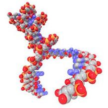 Historia de la biologia: Nace la Genetica