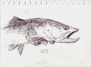 YUHINA ILLUSTRATION: TIGER TROUT