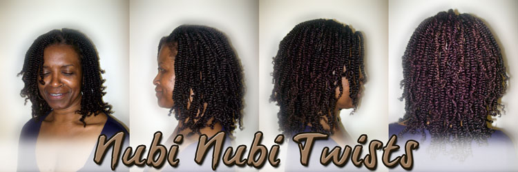 Braiding Me Softly: Nubi Nubi Twists (continued)